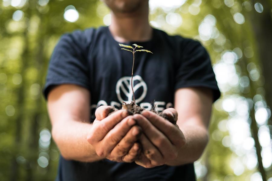 Go Forest lanceert unieke belevings-app - Made in