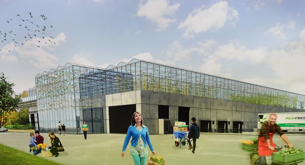 Inagro opent grootste innovatieve daktuinbouwserre van Europa - Made in