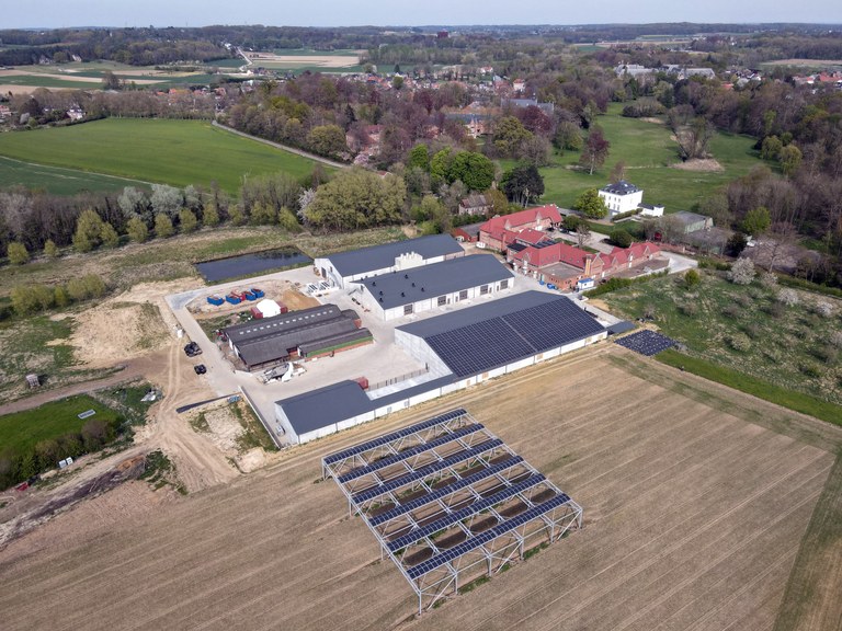 Onderzoeksboerderij TRANSfarm opent de deuren - Made in