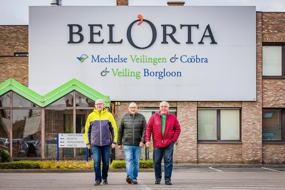 Wandelclub De Kadodders werkt opnieuw samen met BelOrta voor jaarlijkse ...