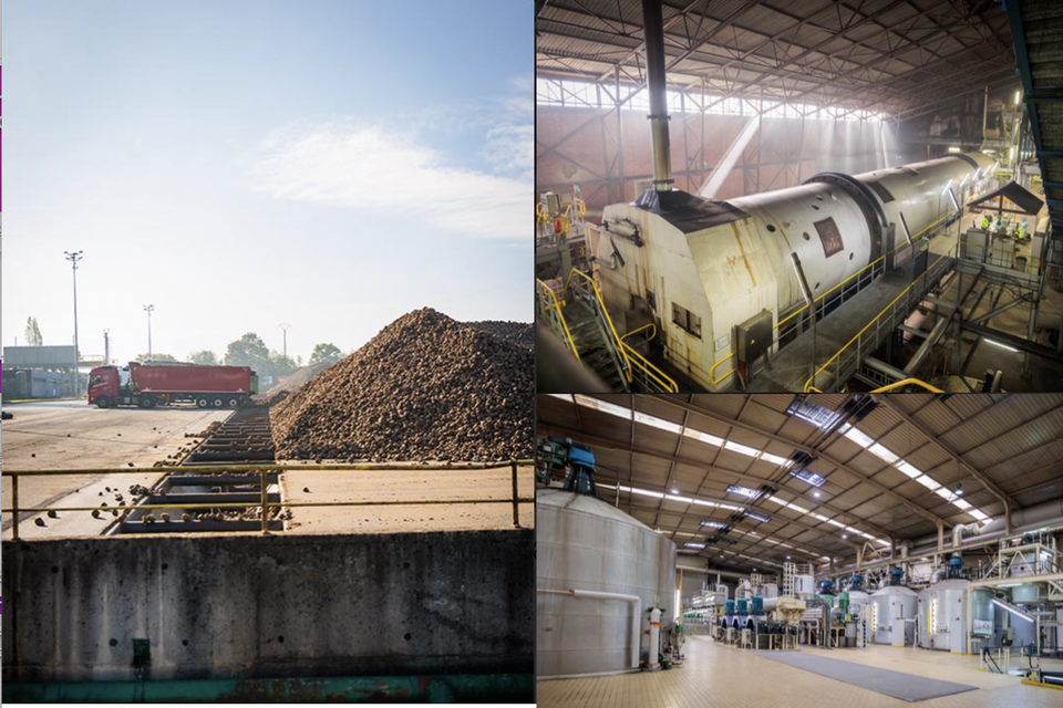 Tiense Suiker verloot een bezoek aan de fabriek - Made in