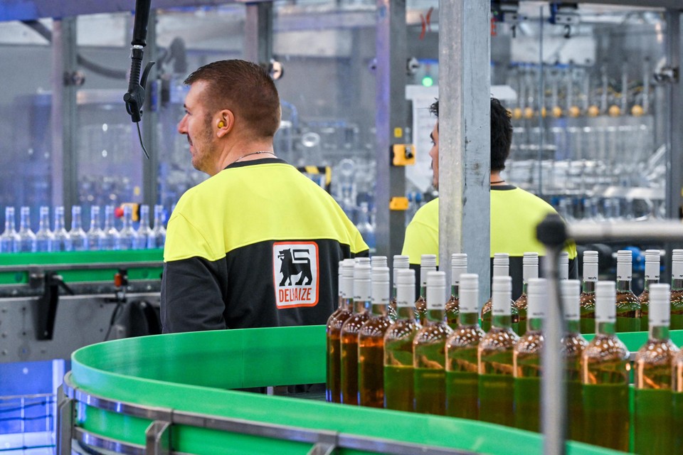 Delhaize kan wijnprijzen intomen dankzij eigen bottelarij in Asse - Made in