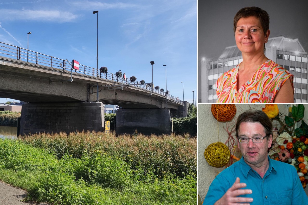 Bedrijven hoopvol over nieuwe Scheldebrug in Wetteren - Made in