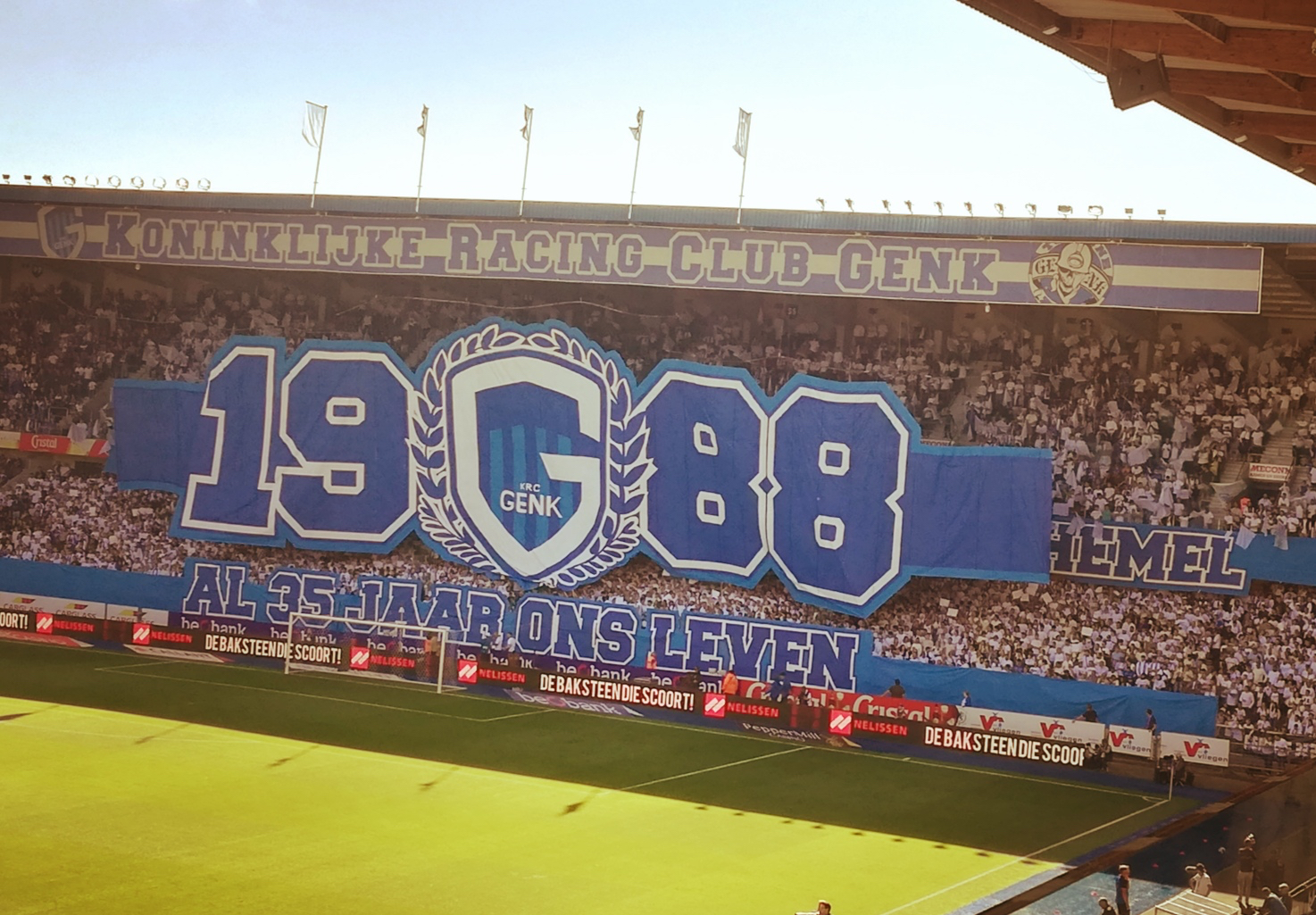 Luminex zet deuren van Cegeka Arena open voor wereldsterren - Made in