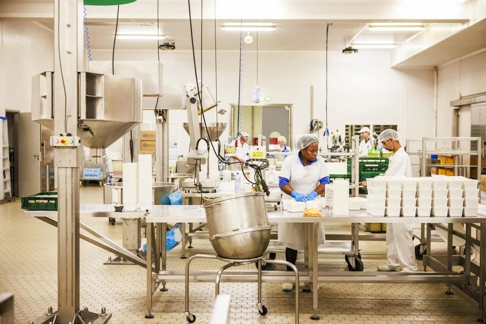 Zonder dit Antwerpse familiebedrijf was er wellicht geen champignons à ...