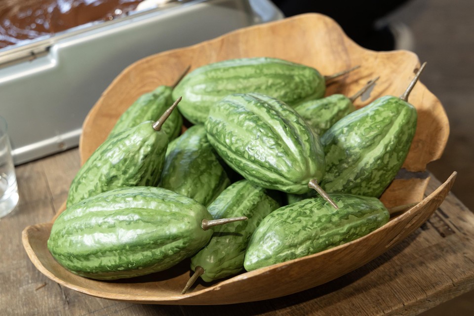 Gudrun uit Lier maakt pralines volgens principes van upcycling - Made in