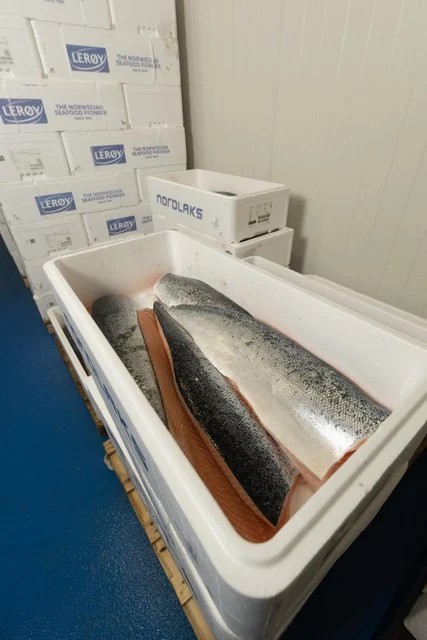 Hoe Alfa Fish uitgroeide tot de snelstgroeiende vishandel van België: “We komen nochtans ...