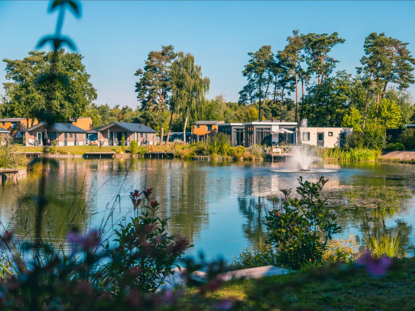 EuroParcs moderniseert het Molse Zilverstrand - Made in