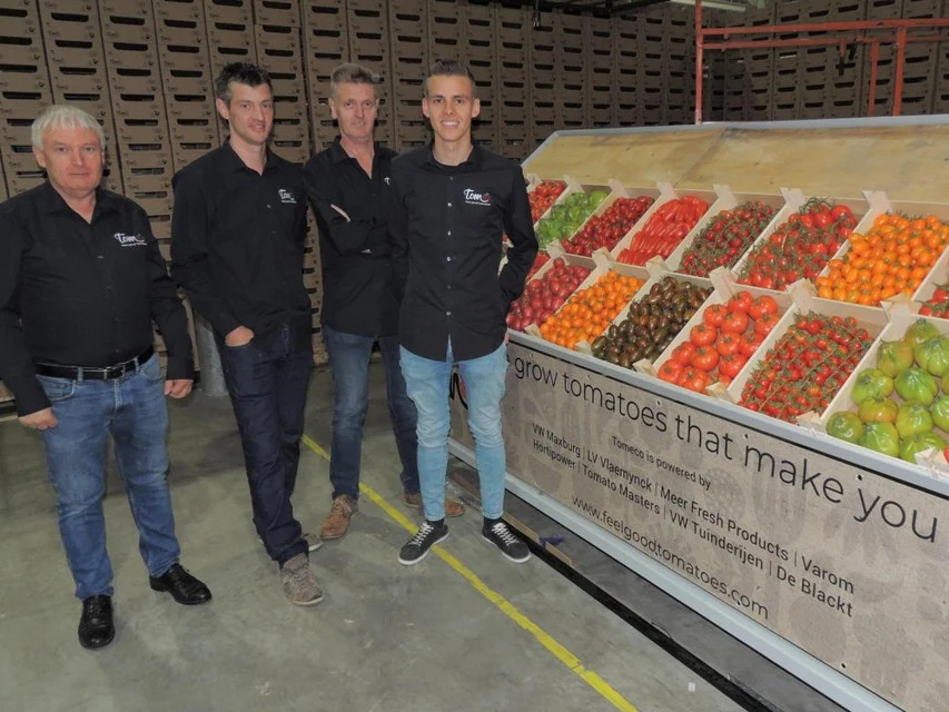 Vermeiren-Wouters, de tomatenfamilie uit Loenhout die een stuk grond ...