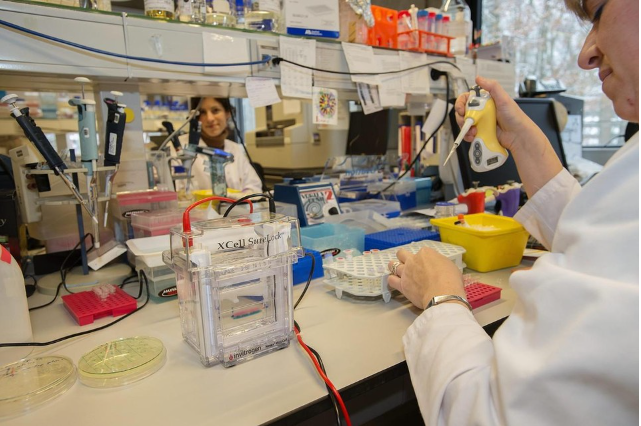 Ceres Pharma neemt bedrijf uit Namen over - Made in