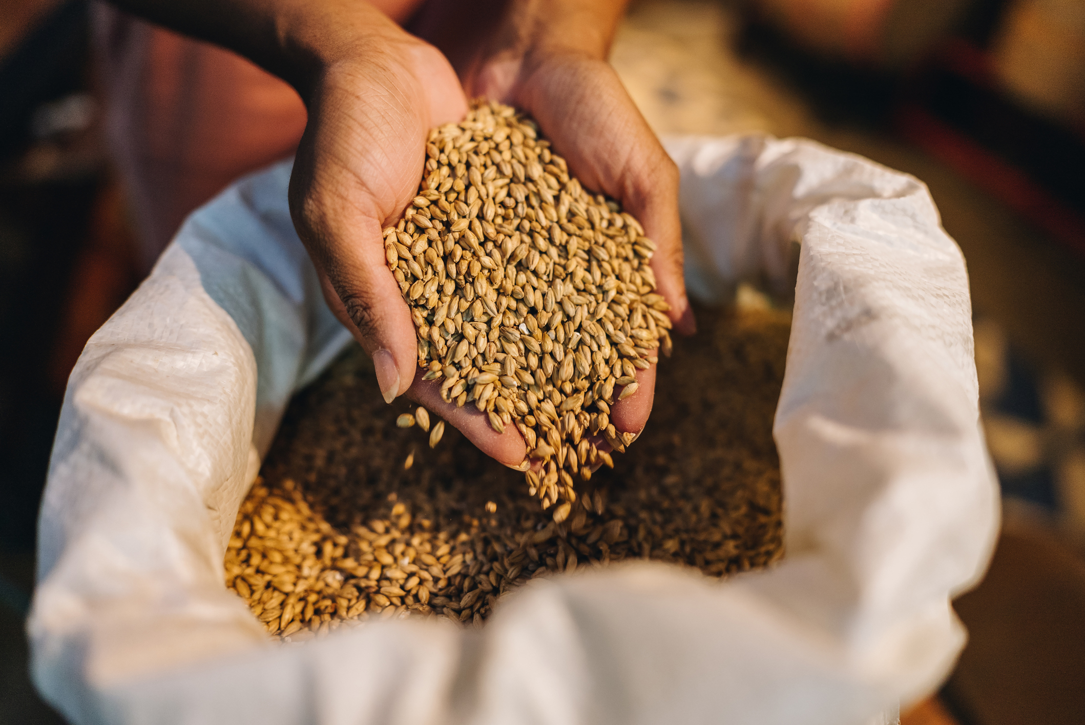 Dossche Mills neemt West-Vlaamse Molens T’Kindt over en verstevigt ...