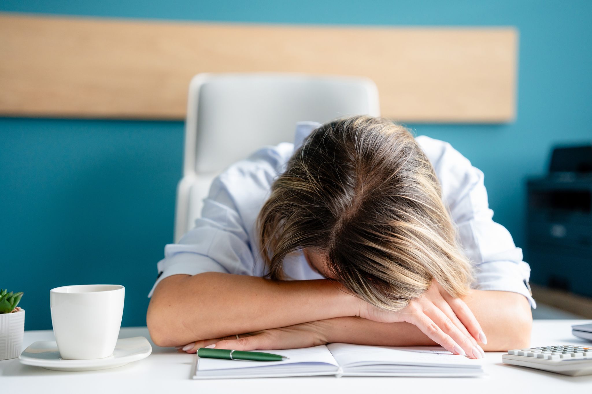 Dit zonnepanelenbedrijf haalde jarenlang de groepsaankopen van de ...