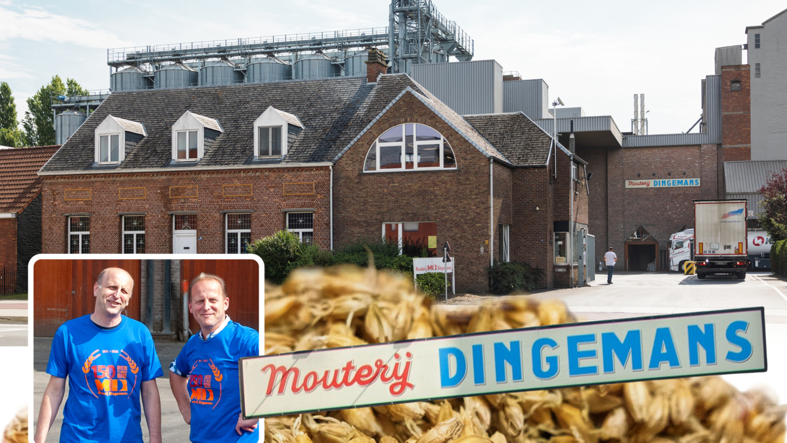 “Zonder ons geen bier”: Mouterij Dingemans in Stabroek levert ...