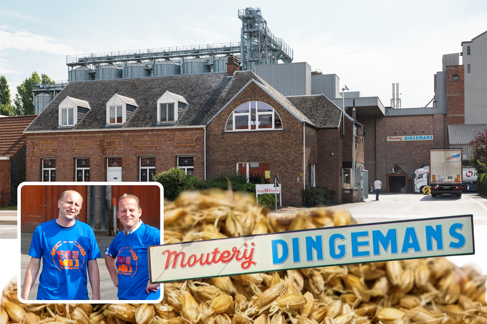 “Zonder ons geen bier”: Mouterij Dingemans in Stabroek levert ...