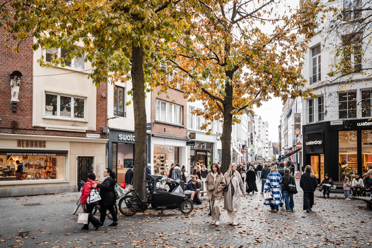 Bekende Antwerpse speelgoedwinkel In Den Olifant blijft ook na ‘50+5 jaar’ jaar nog fan van ...