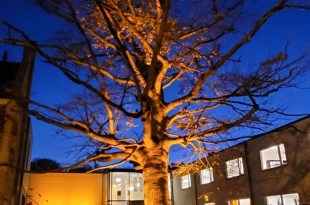 Anouk Lagae (ex-CEO Accent) richt nieuw 'gezondheidsbedrijf' op - Made in