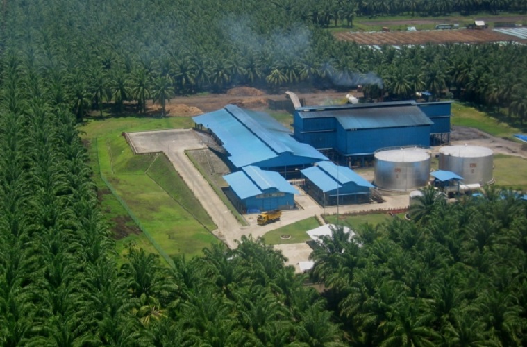 Sipef heeft last van ongunstige weersomstandigheden - Made in