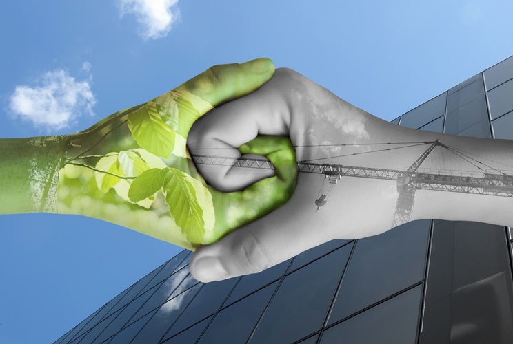 Gutami Solar investeert in Limburgs netwerk - Made in