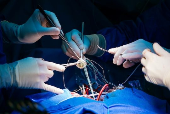 Nieuwe biologische hartklep in UZ Leuven is Belgische primeur - Made in