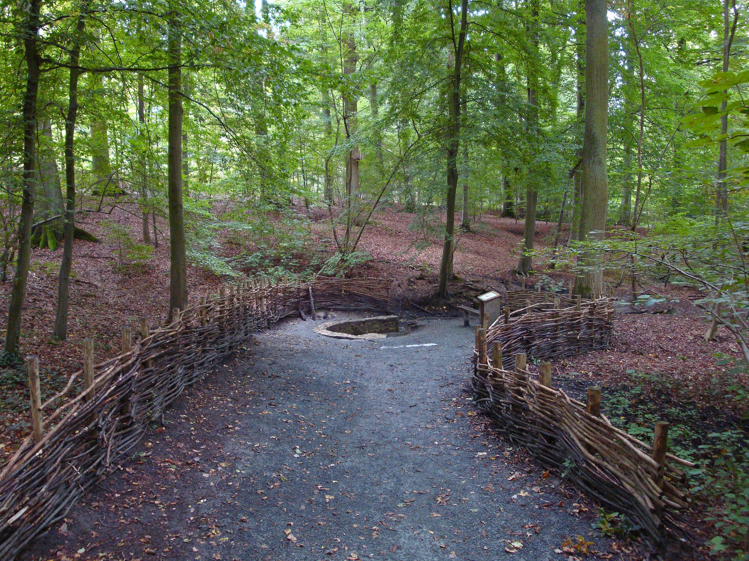 Investering van 8 miljoen euro in Meerdaalwoud en Heverleebos - Made in