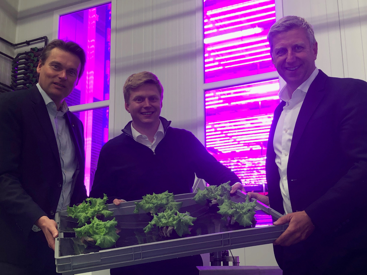 Tom Debusschere maakt opmerkelijke come back bij Urban Crop Solutions ...