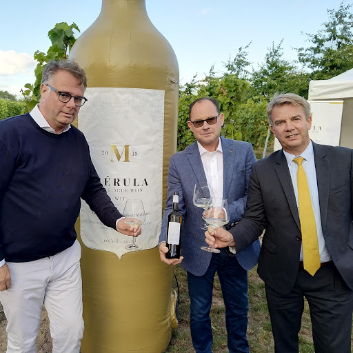 Luc Beke (Global Estate Group) en Marino Moenaert lanceren West-Vlaamse ...